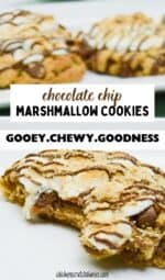 Toasted S'mores Chocolate Chip Cookies (indoor campfire treat ...