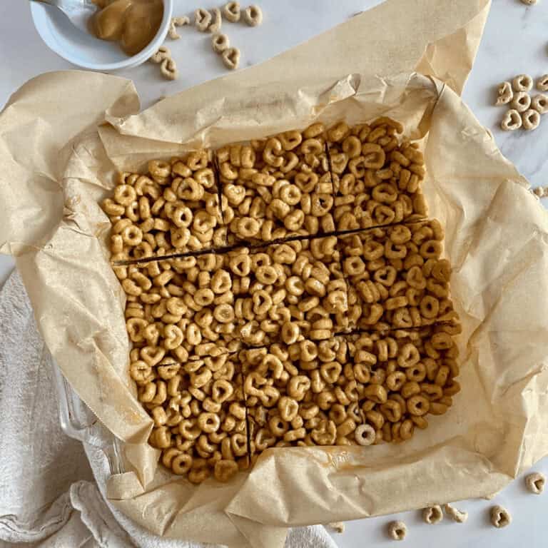 18 Cheap, Healthy Summer Snacks for Kids » Chicken Scratch Diaries