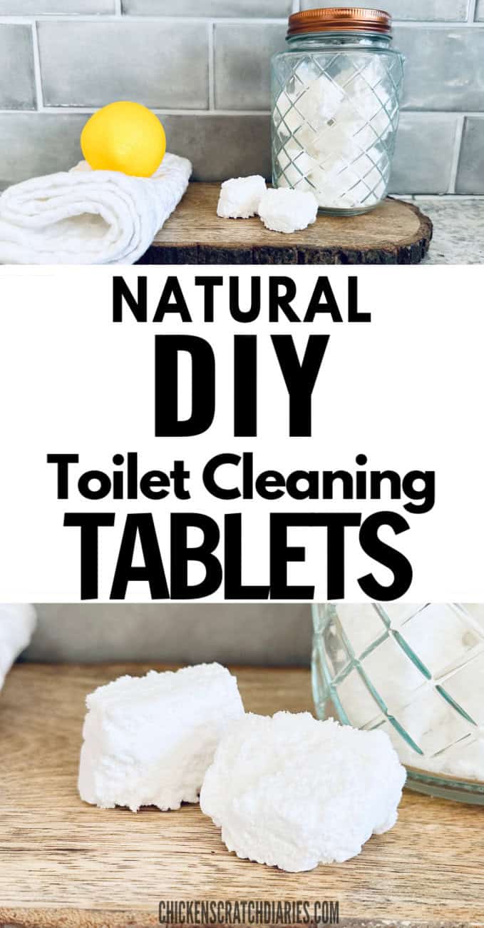 DIY Toilet Cleaning Tablets » Chicken Scratch Diaries