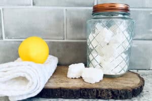 DIY Toilet Cleaning Tablets » Chicken Scratch Diaries