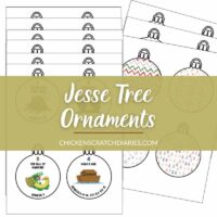 Jesse Tree Printable Ornaments for Advent (Free!) » Chicken Scratch Diaries