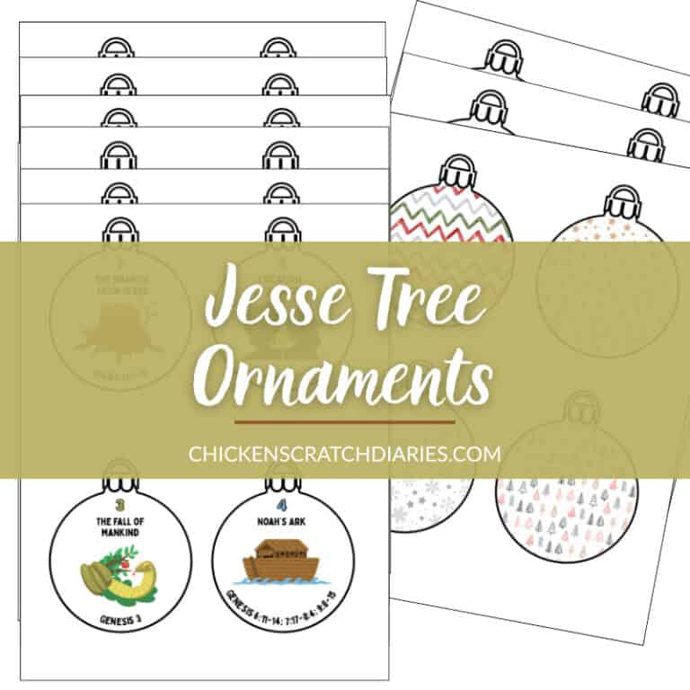 Jesse Tree Printable Ornaments for Advent (Free!) » Chicken Scratch Diaries