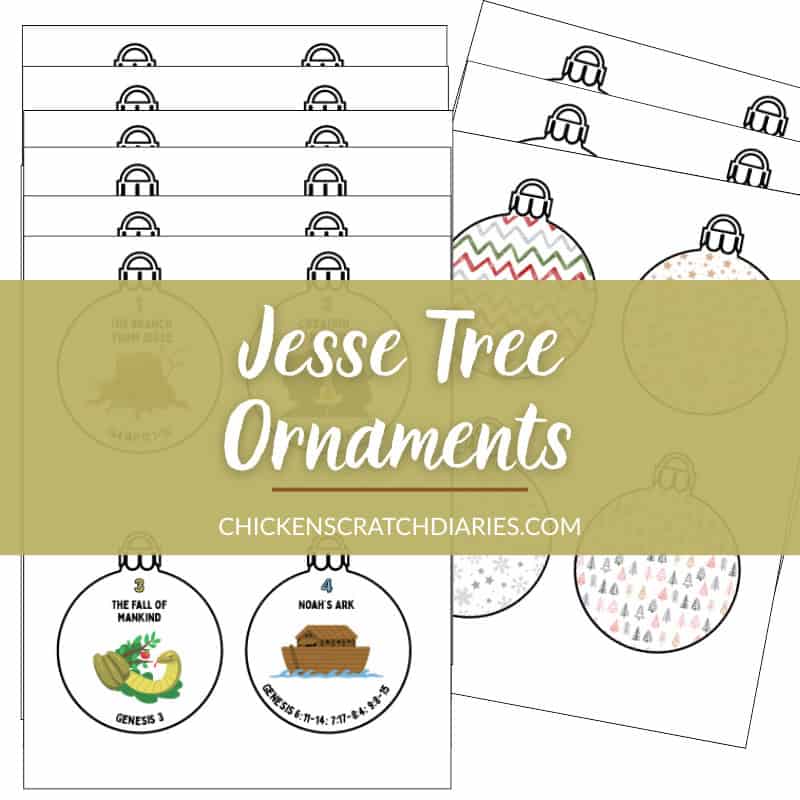 Jesse Tree Printable Ornaments for Advent (Free!) » Chicken Scratch Diaries