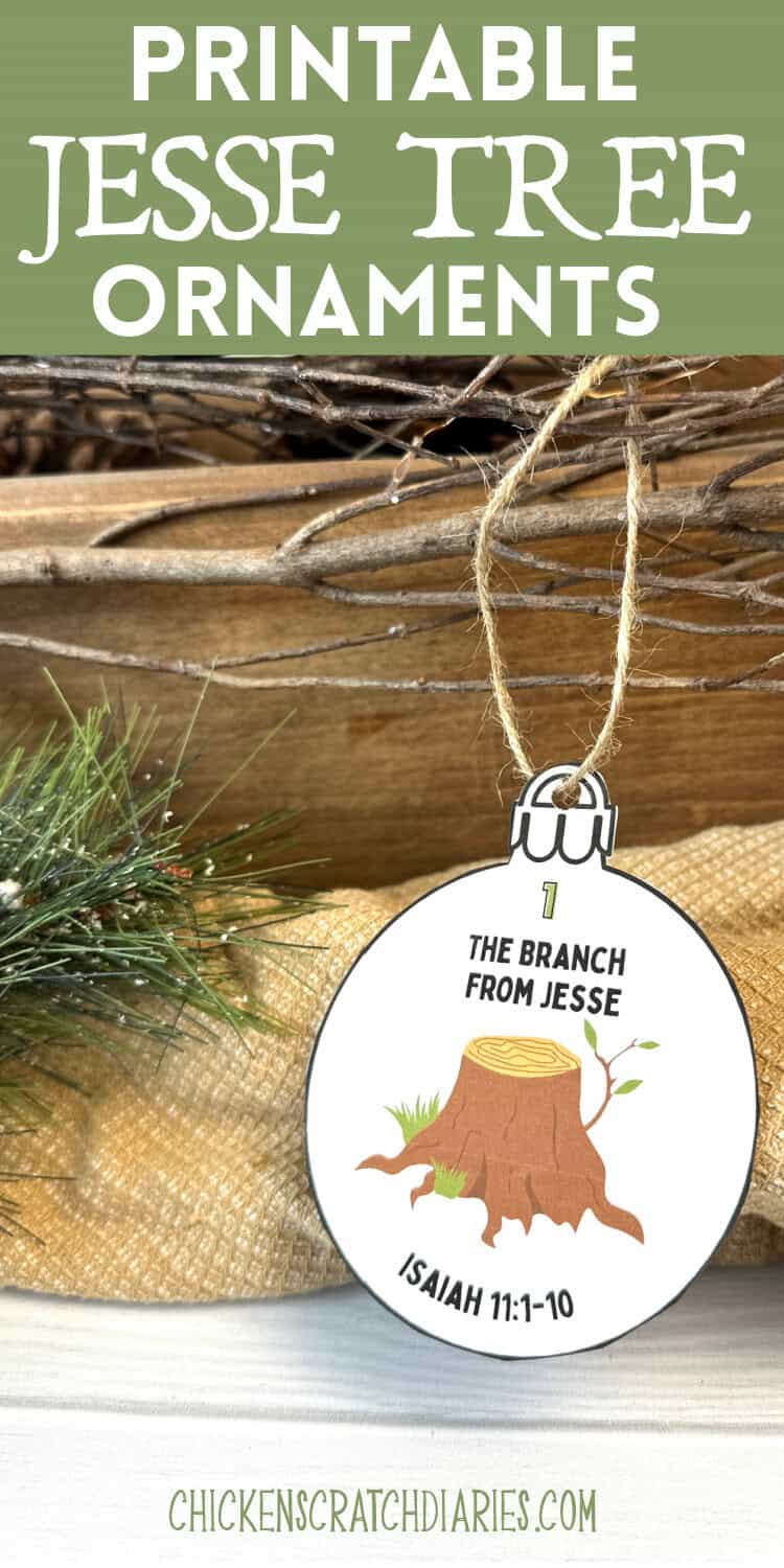 Jesse Tree Printable Ornaments for Advent (Free!) » Chicken Scratch Diaries